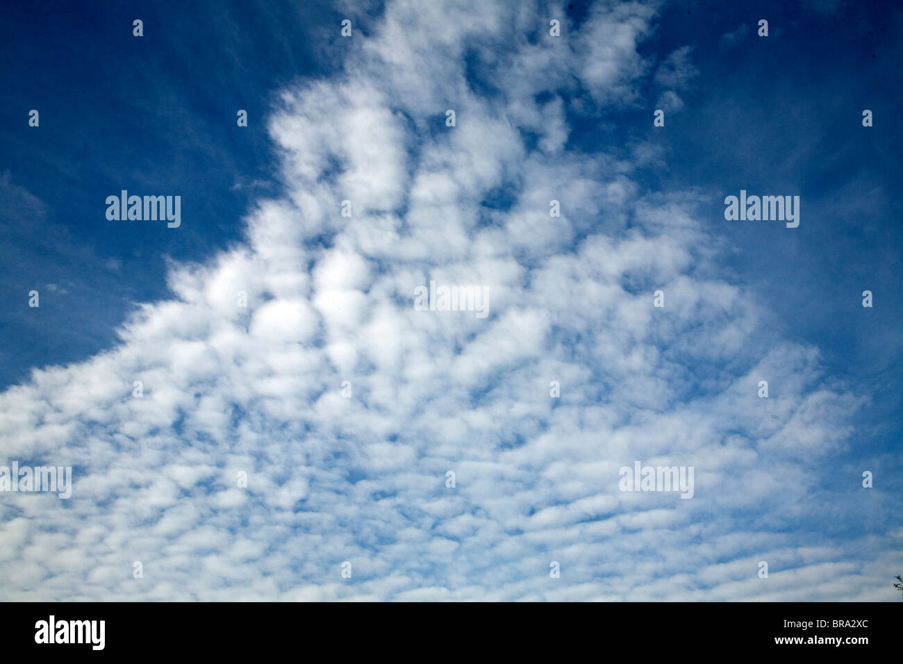 Cirro cumulus hi-res stock photography and images - Alamy
