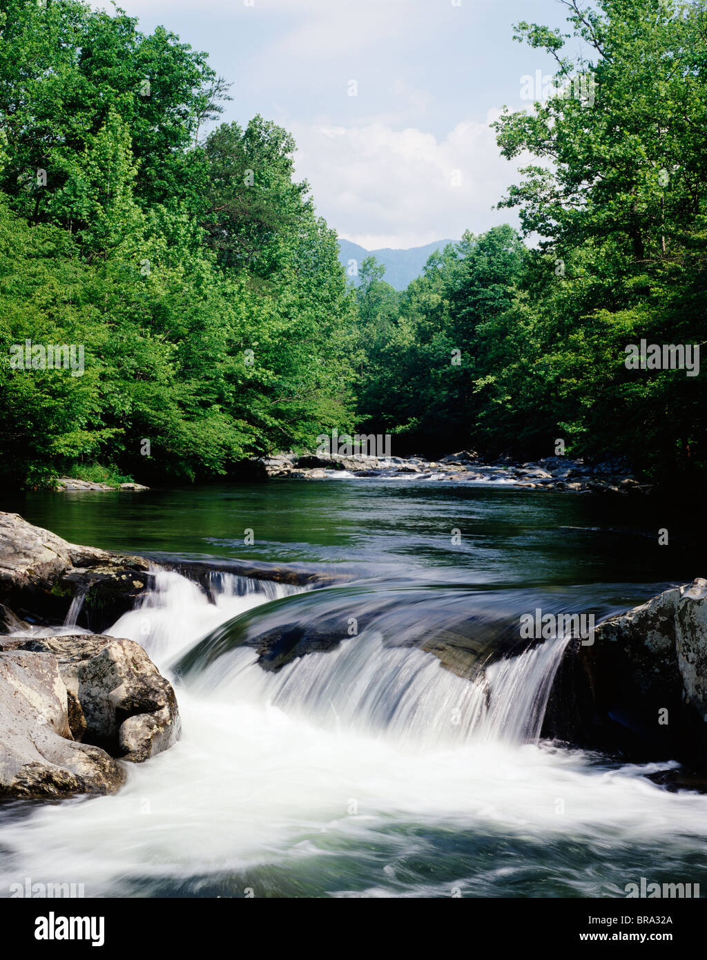 LITTLE PIGEON RIVER GREAT SMOKY MOUNTAINS NATIONAL PARK TENNESSEE Stock ...