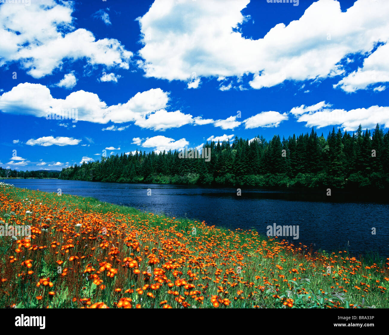 ANDROSCOGGIN RIVER NEAR MILAN NH Stock Photo - Alamy