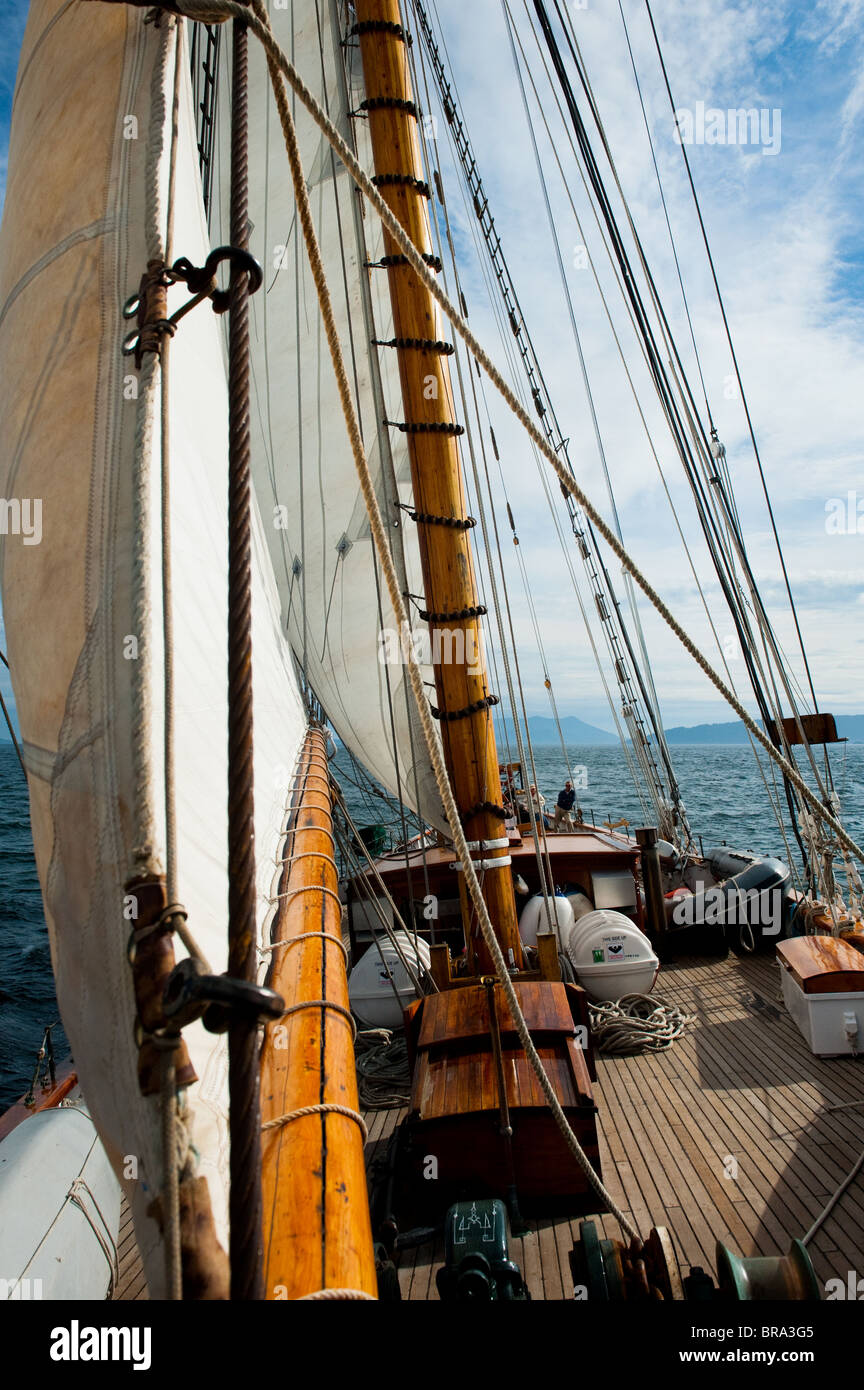 Aboard the historic tall ship "Zodiac" we went cruising through the San ...