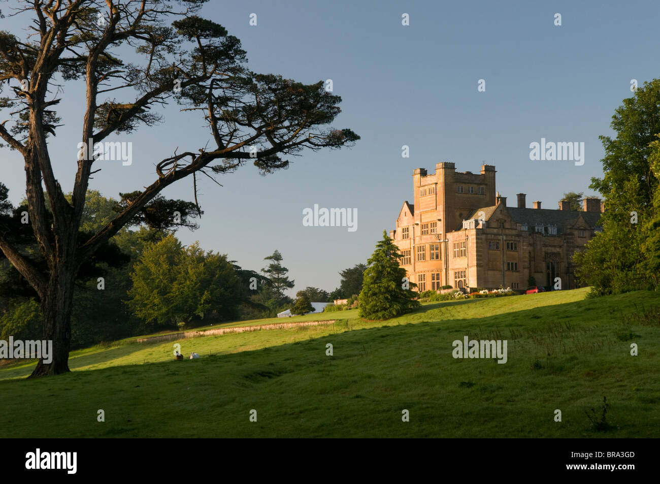 Minterne magna dorset hi-res stock photography and images - Alamy