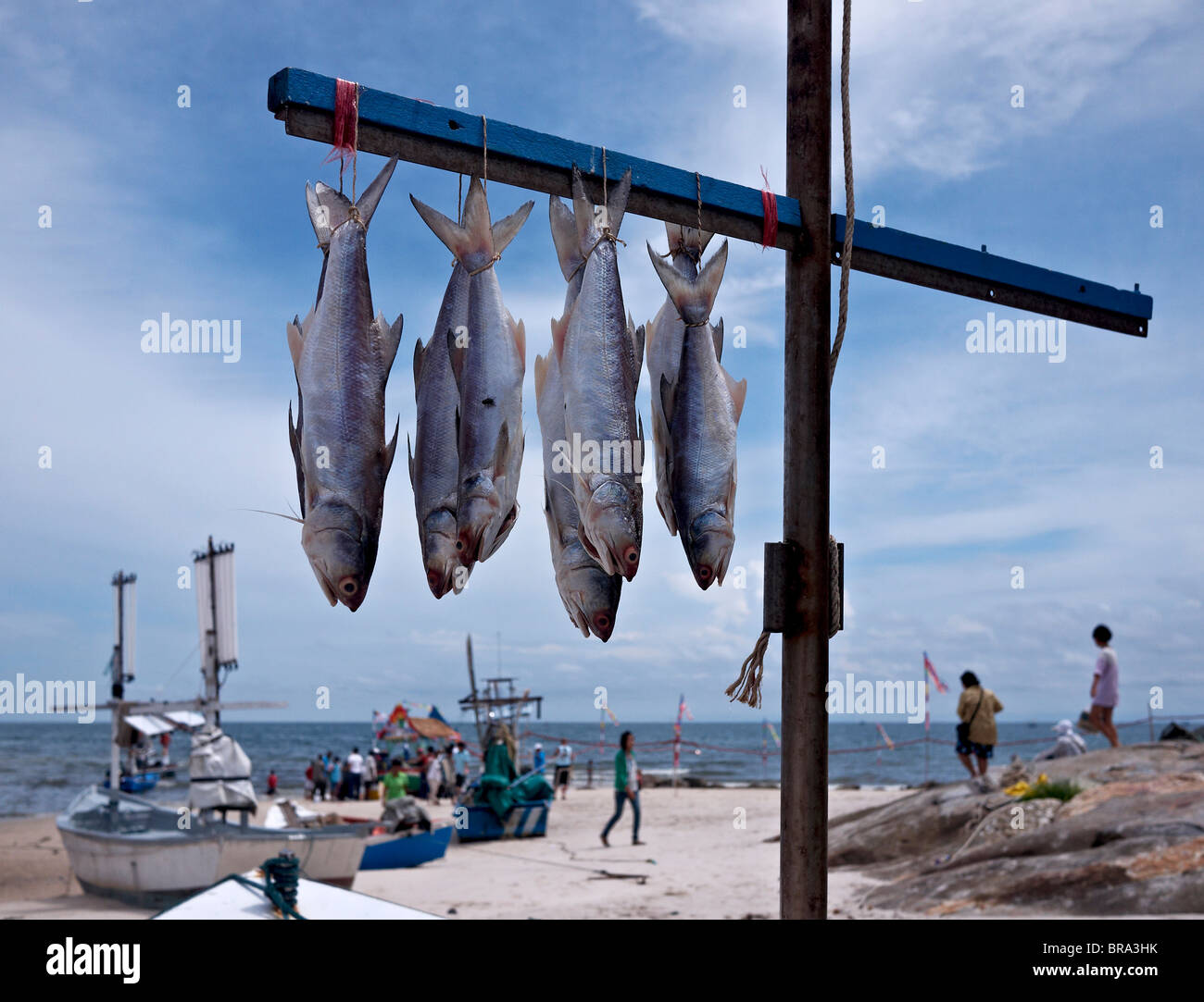 Fish sale boat hi-res stock photography and images - Alamy
