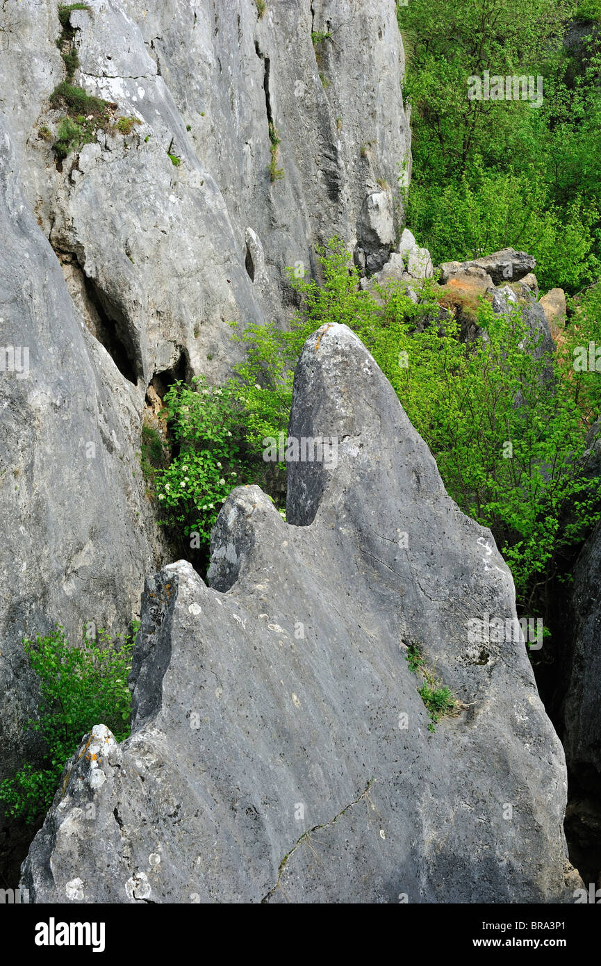Ravine ravines hi-res stock photography and images - Alamy