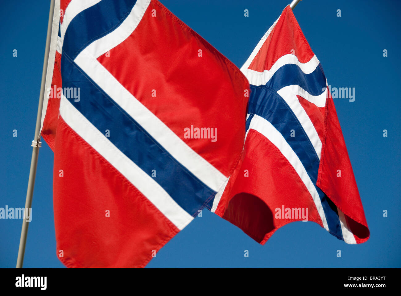 Norway. Norwegian flags Stock Photo - Alamy