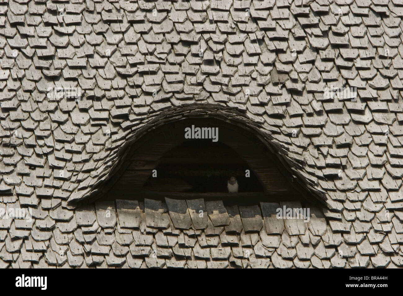 Romania, Cheia, Cheia Monastery Stock Photo - Alamy