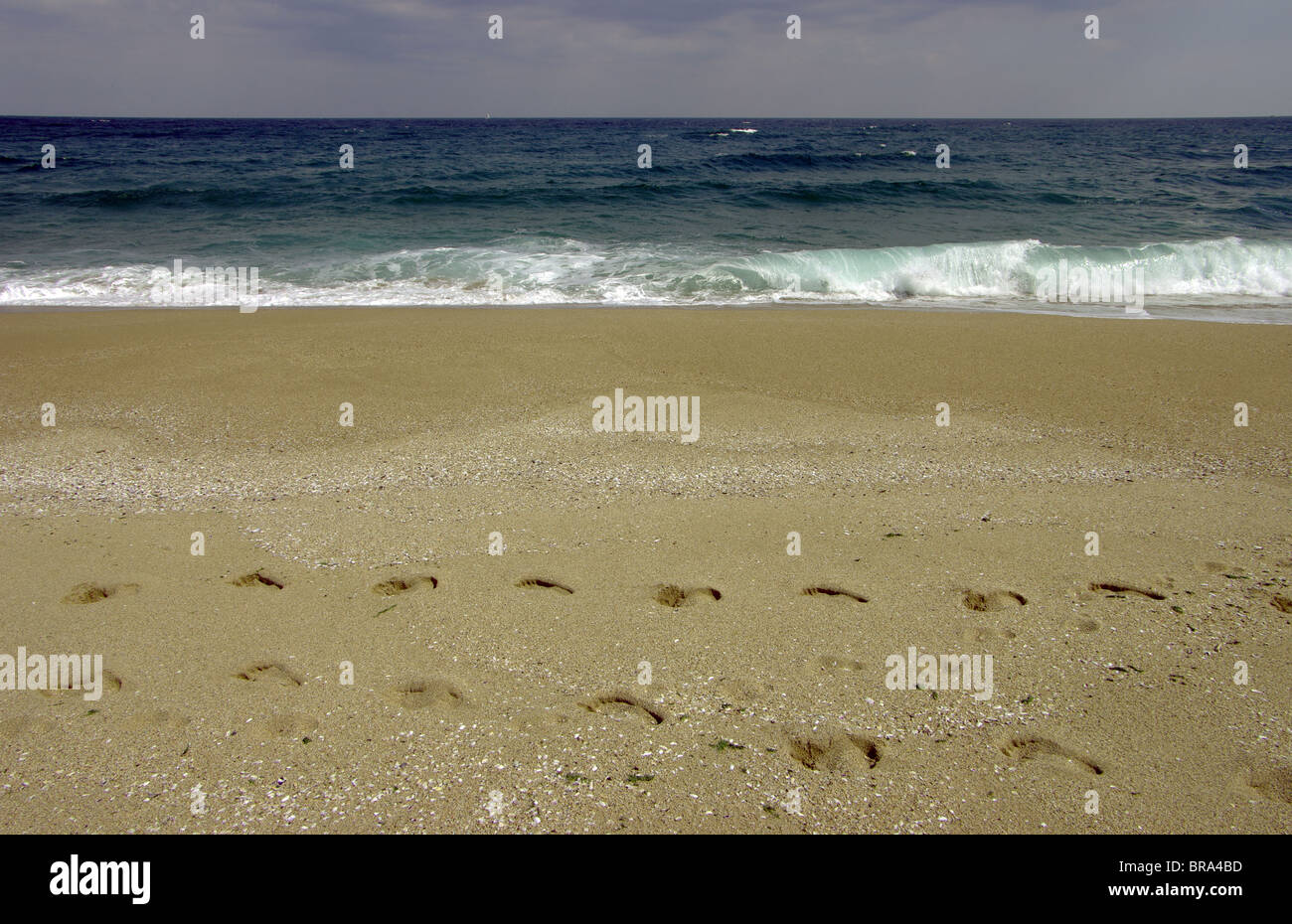 Two steps wild beach sand presence hi-res stock photography and images ...