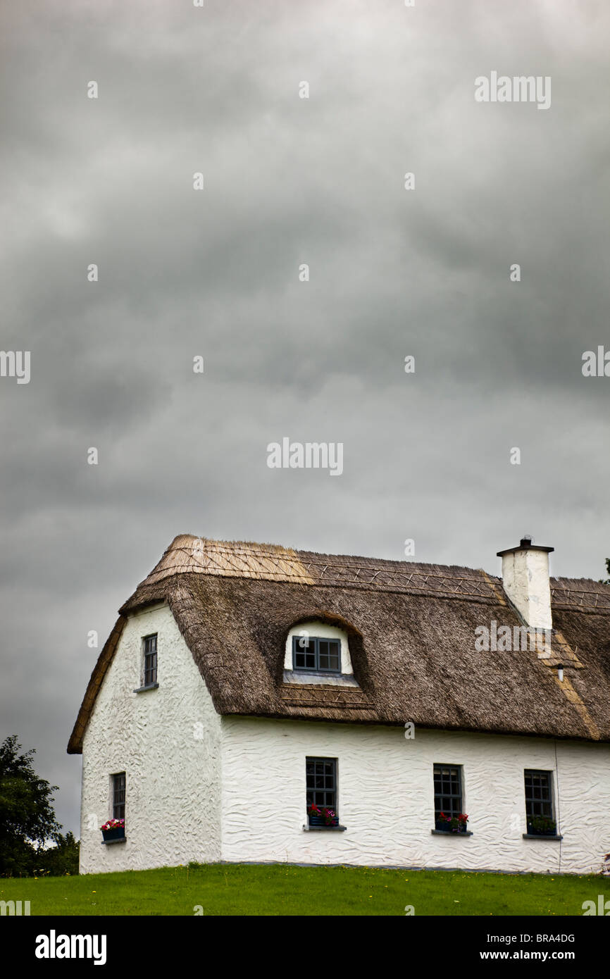Traditional rural housing in East Ireland Stock Photo - Alamy