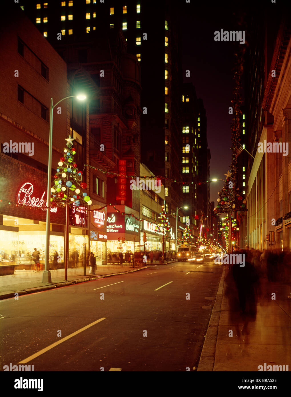 New York Drivers License Search