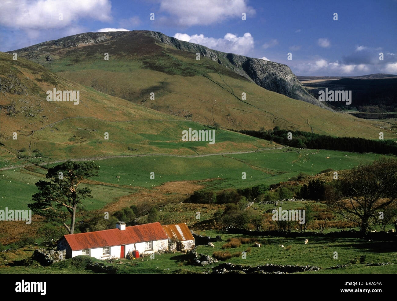 Irish hillside cottage hi-res stock photography and images - Alamy