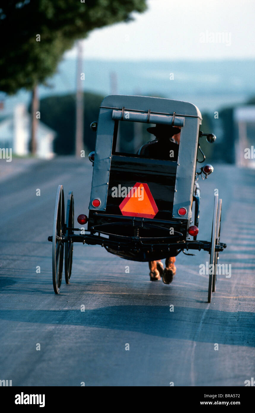 AMISH BUGGY LANCASTER COUNTY PENNSYLVANIA Stock Photo - Alamy