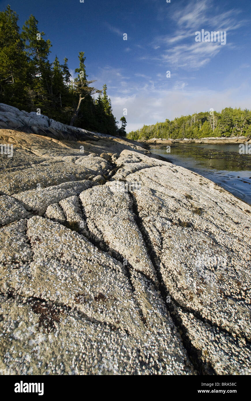 Late Afternoon at Skull Cove, Bramham Island, British Columbia, Canada ...