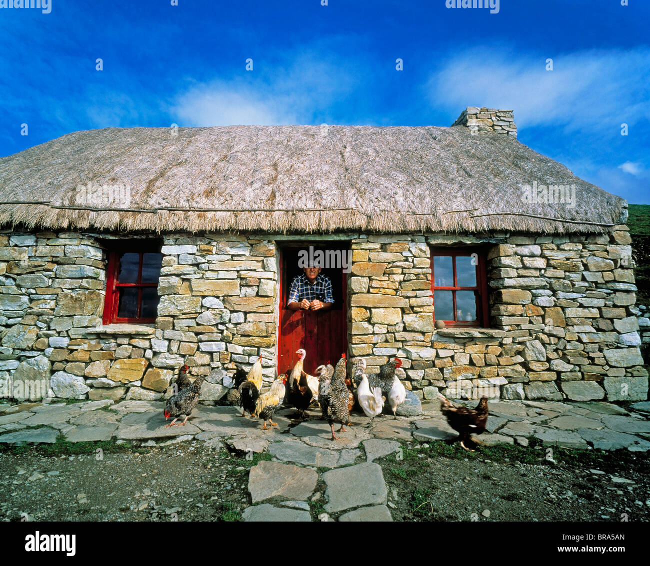 Farmer Feeding Chickens, Ireland Stock Photo - Alamy