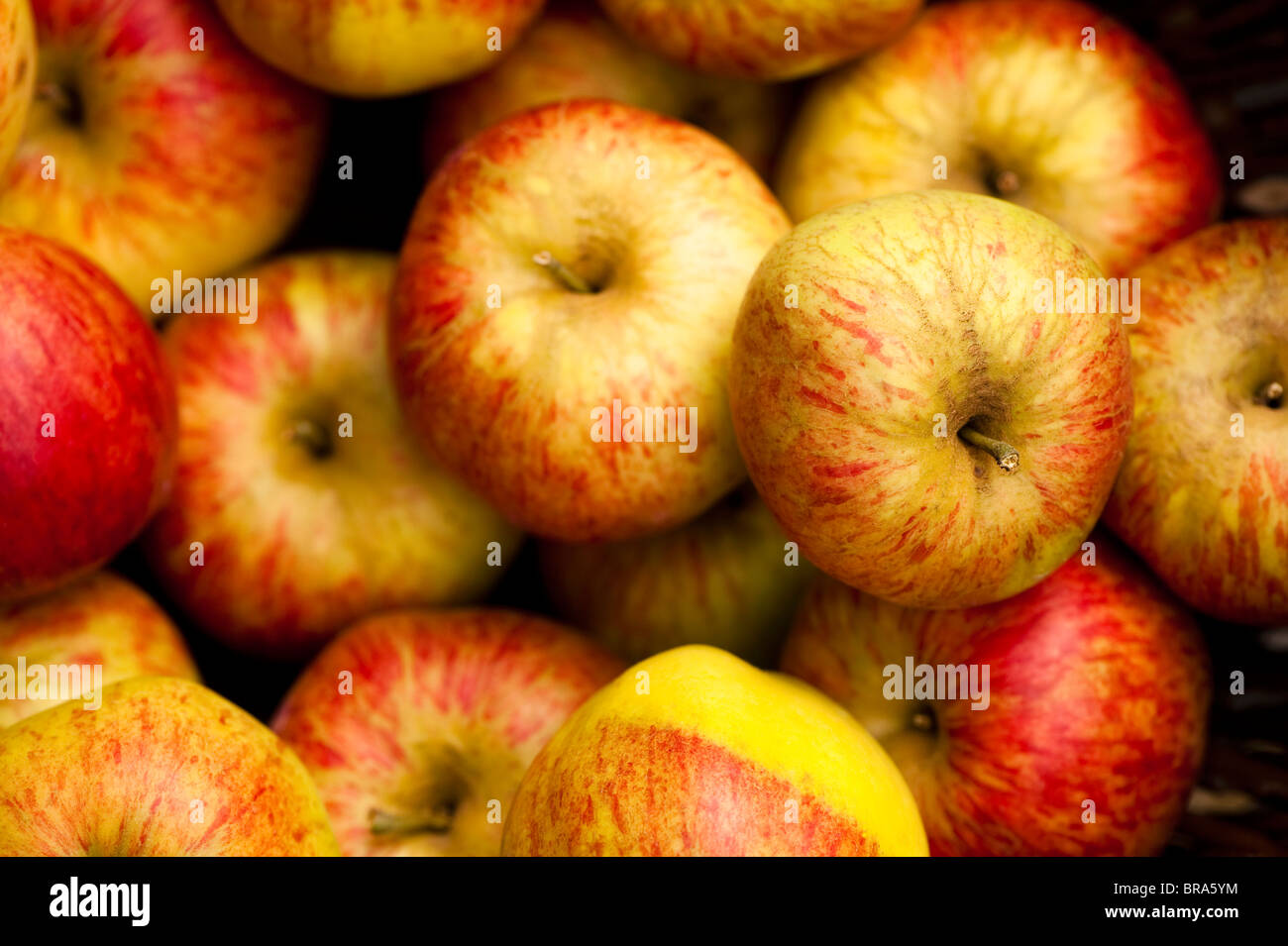Worcester pearmain apples hi-res stock photography and images - Alamy