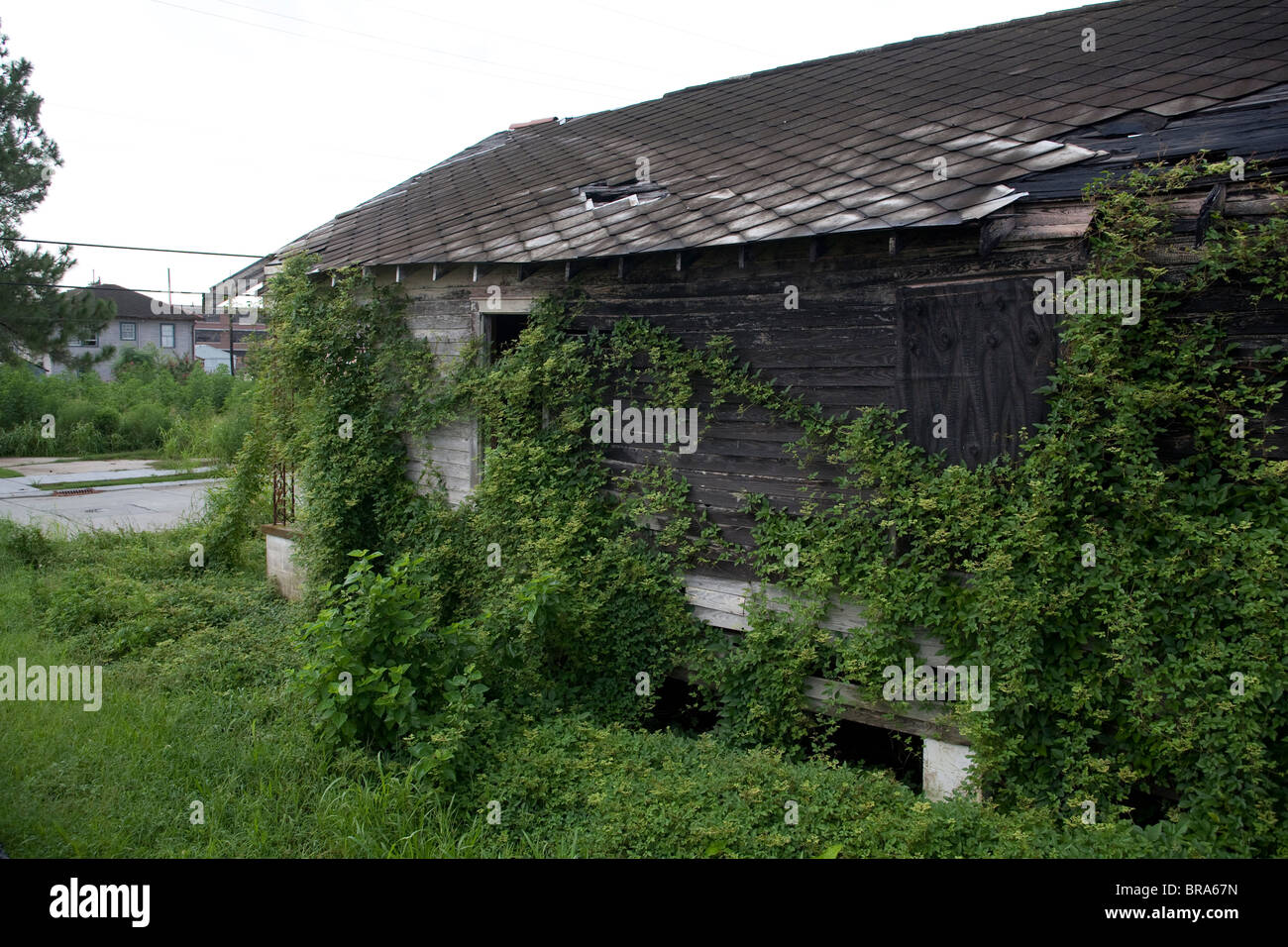 Blighted housing in New Orlean's Ninth Ward neighborhood Stock Photo ...