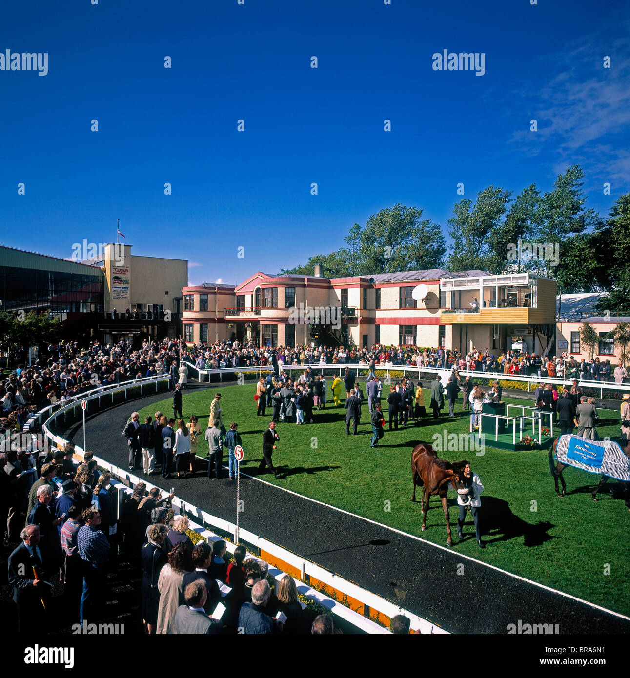 Curragh Racecourse, Co Kildare, Ireland Stock Photo - Alamy