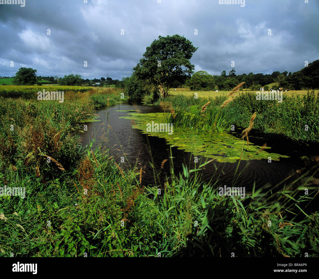 River Lagan, Co Down, Ireland; Landscape Near Dromore Stock Photo - Alamy