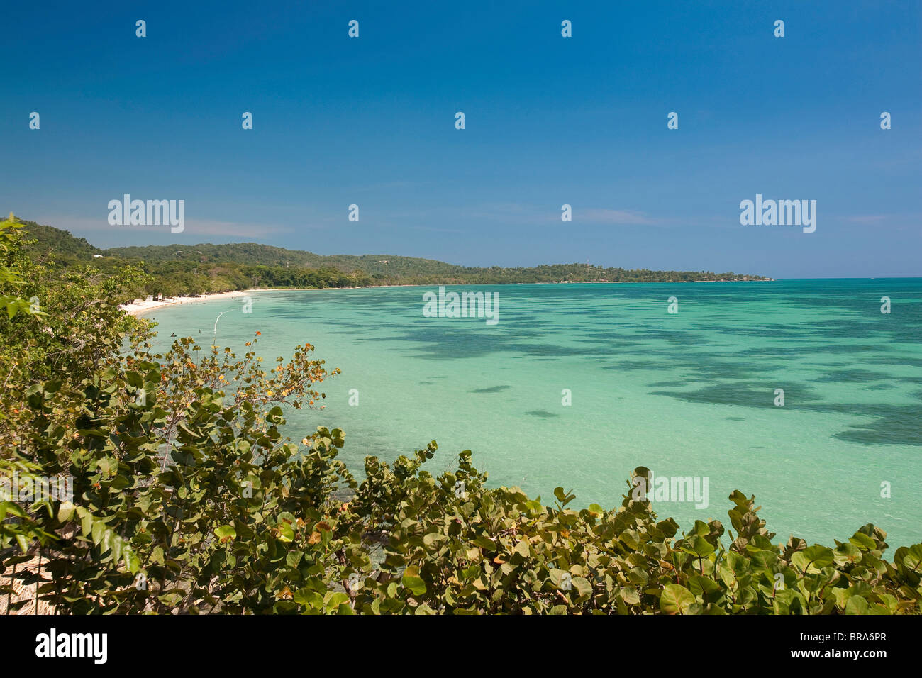 Bluefields hi-res stock photography and images - Alamy
