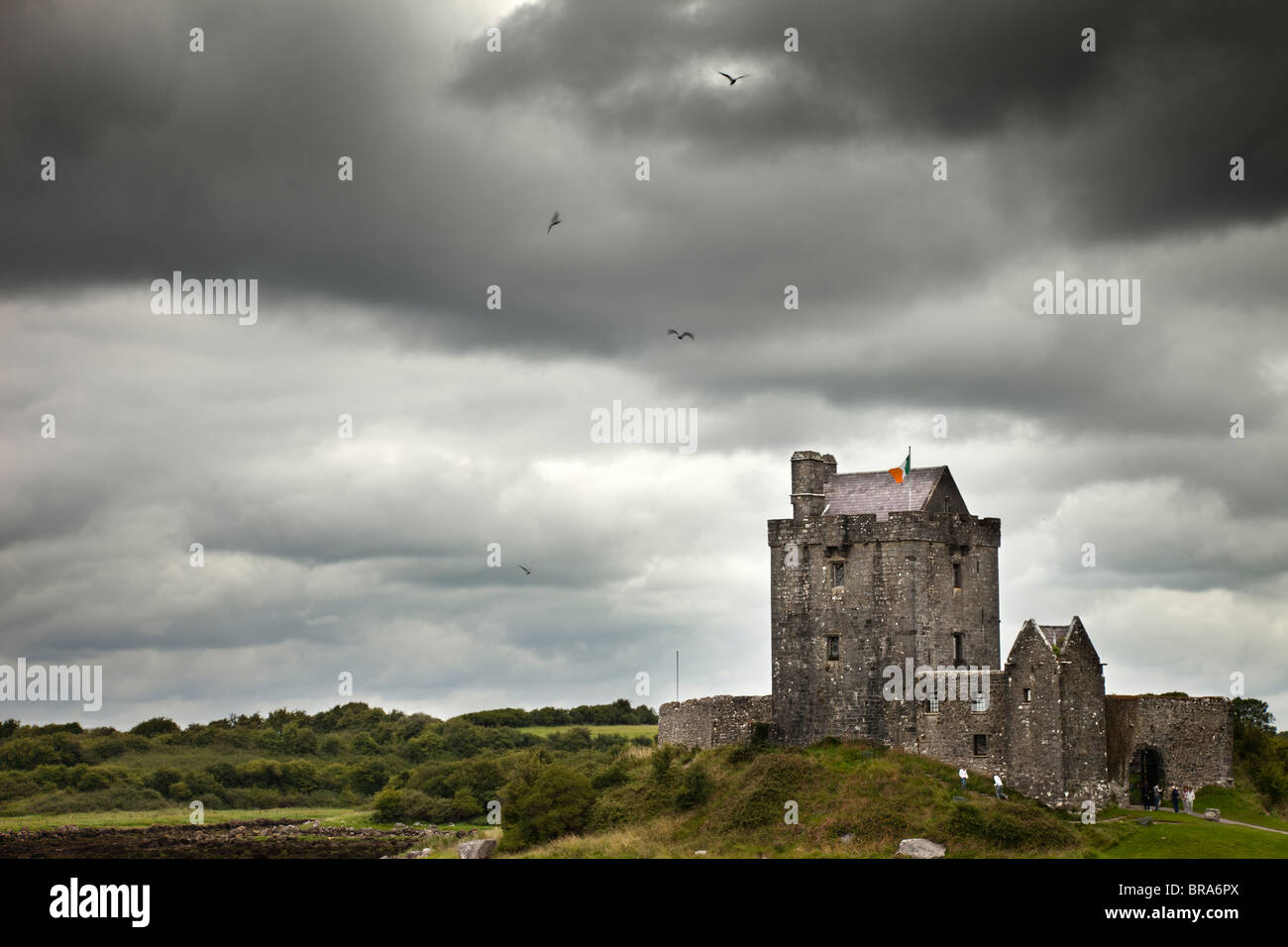 Castle in County Clare, Ireland Stock Photo - Alamy