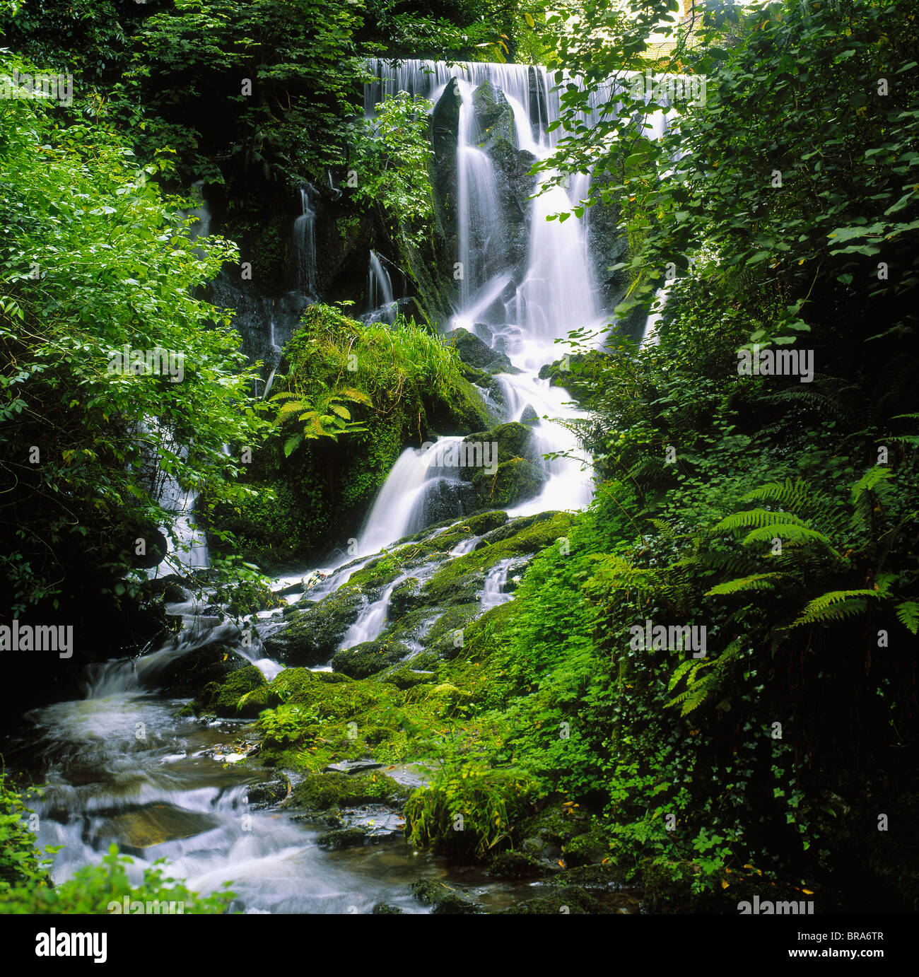 Crawfordsburn Country Park, Co Down, Ireland; Waterfall Stock Photo - Alamy