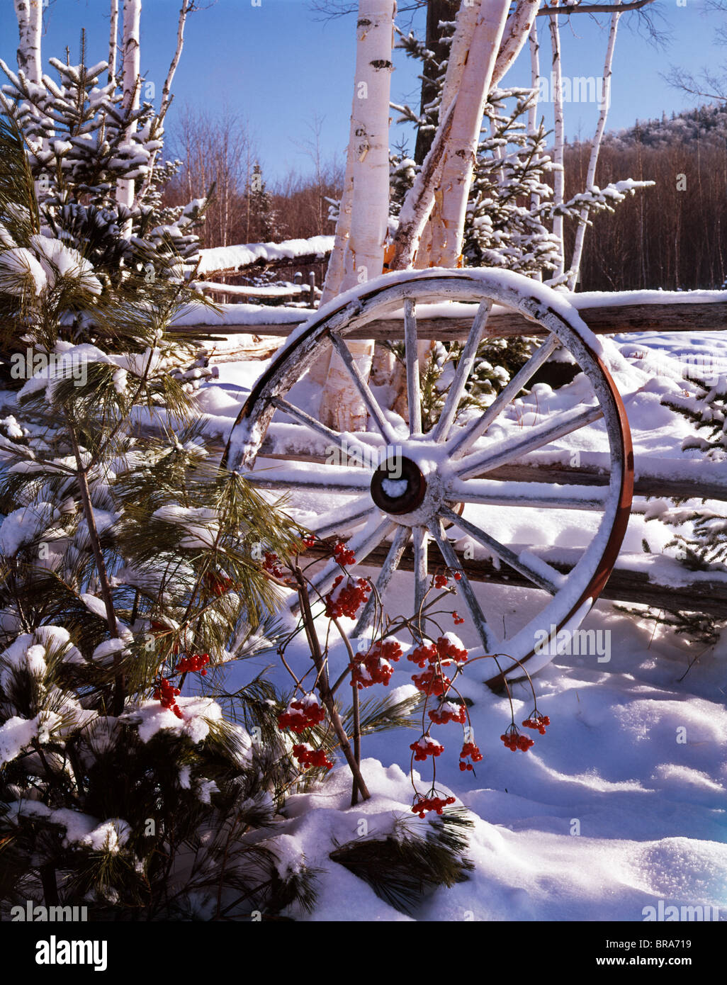 WAGON WHEEL LEANING AGAINST WOODEN FENCE BY TREES COVERED IN SNOW ...