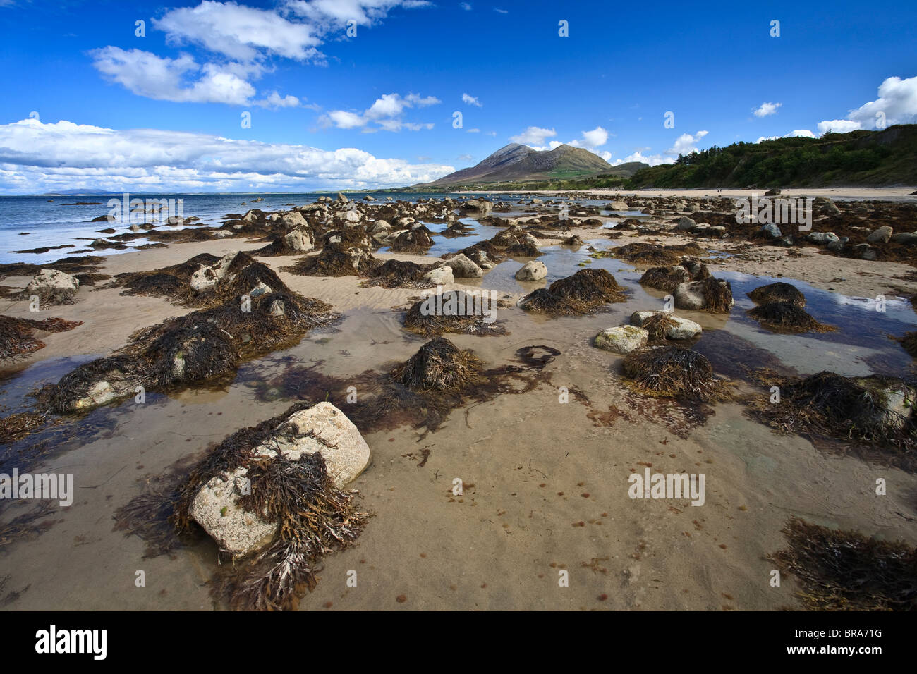 Croagh Patrick viewed from Old Head, County Mayo, Ireland Stock Photo ...
