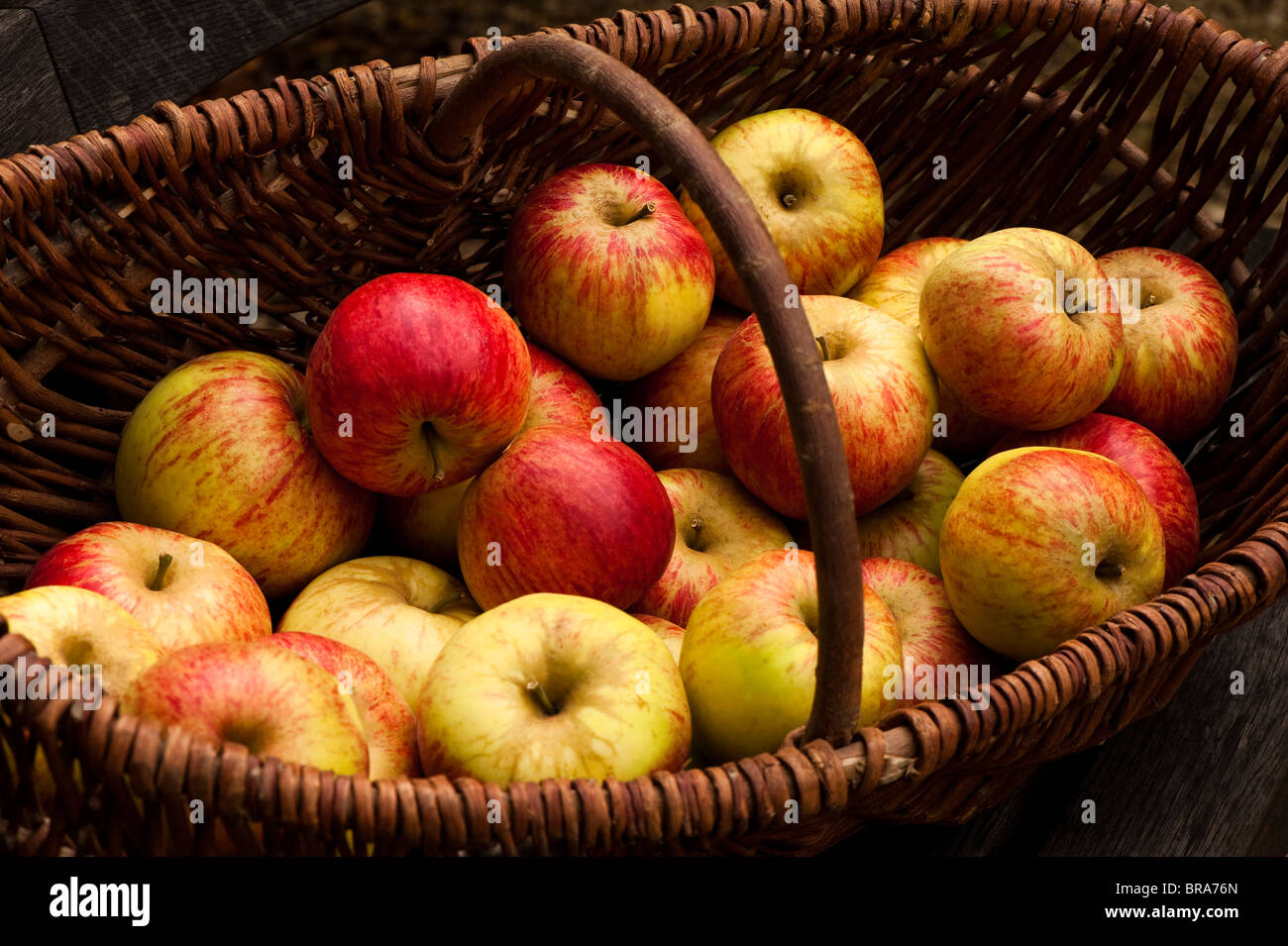 Golden pearmain hi-res stock photography and images - Alamy