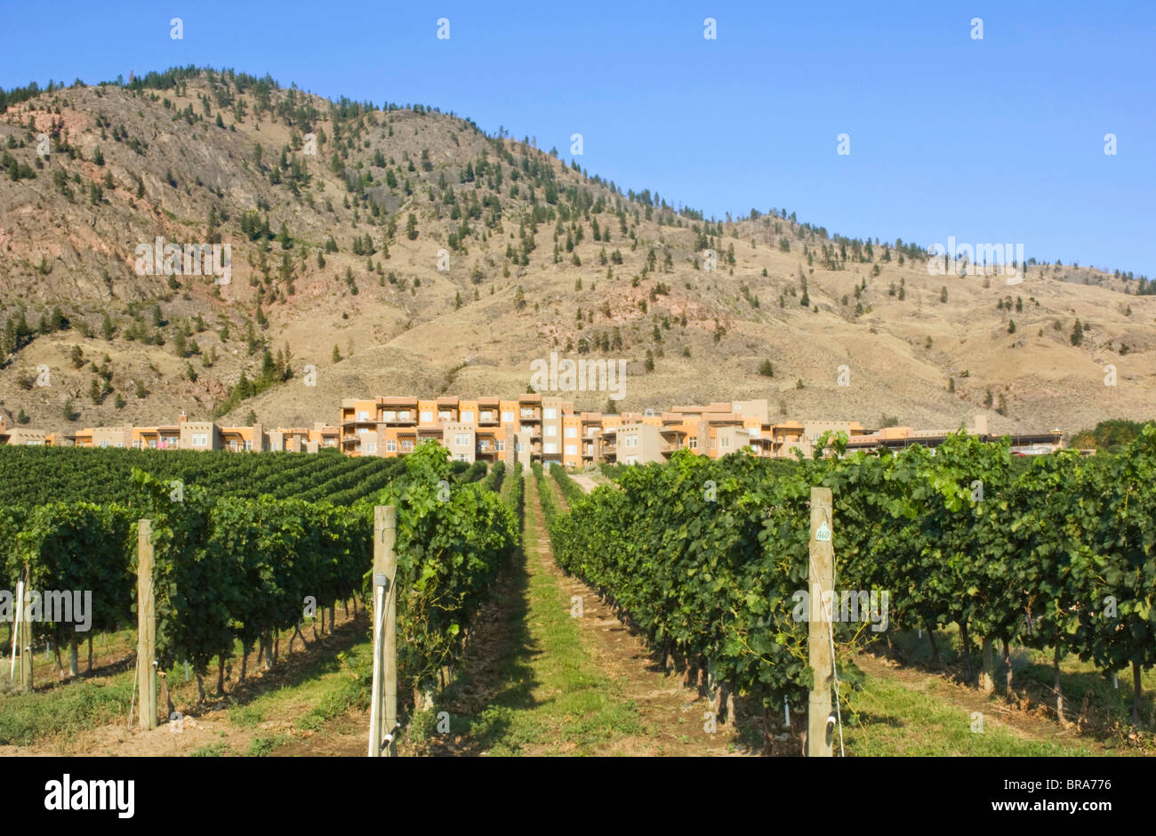 Indian ridge resort hi-res stock photography and images - Alamy