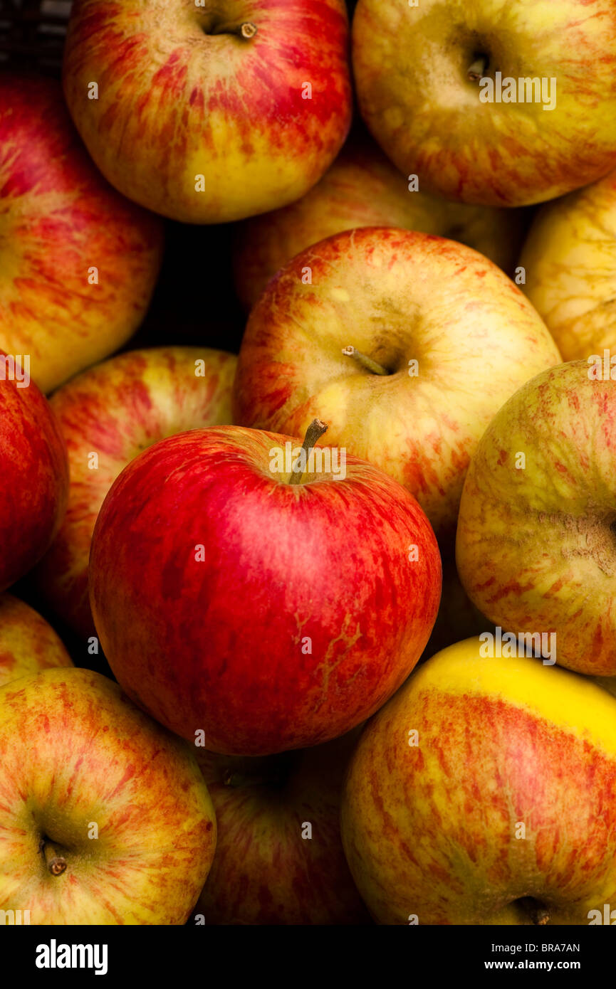 Apple worcester pearmain’ hi-res stock photography and images - Alamy