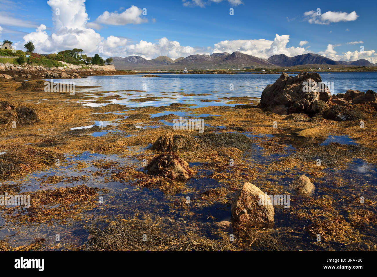 The Twelve Pins viewed from Roundstone, Connemara, County Galway ...