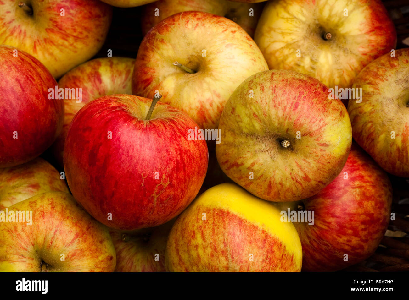 Golden pearmain hi-res stock photography and images - Alamy