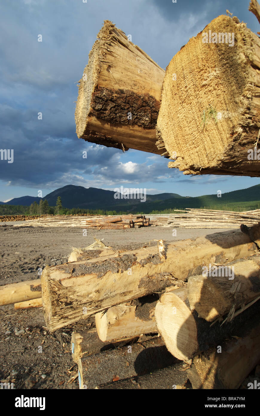 Canada: Canal Flats, Tembec Lumber Mill Stock Photo - Alamy