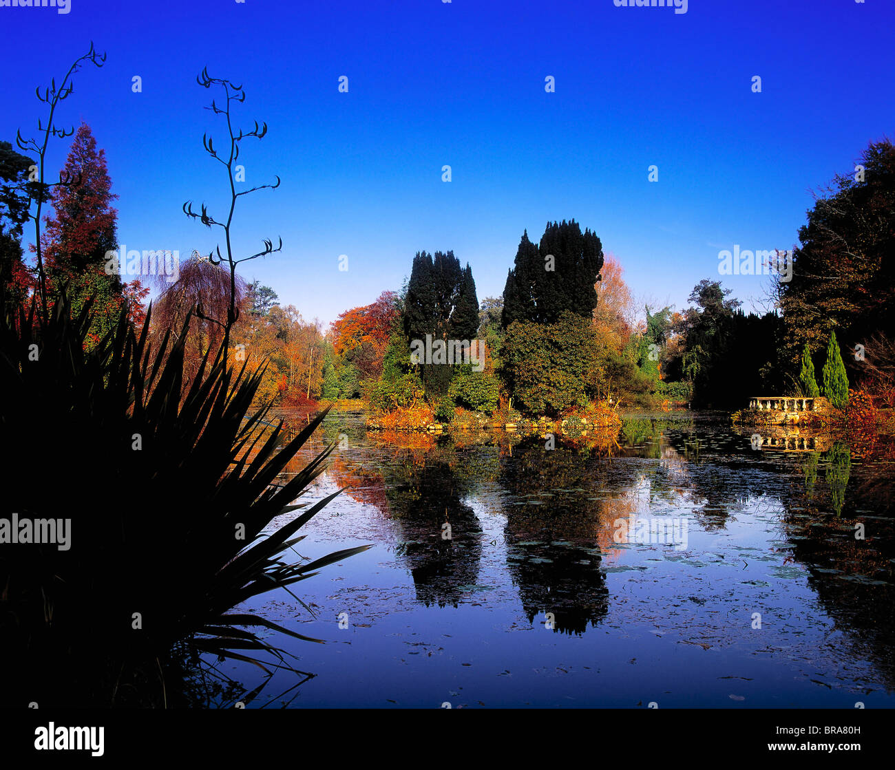 Altamont Garden, Co Carlow, Ireland; The Lake Stock Photo - Alamy