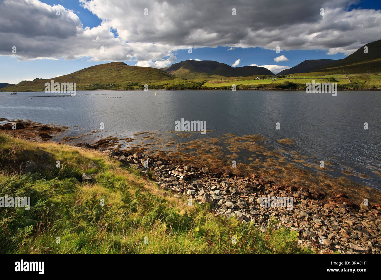 Killary Harbour, Connemara, County Galway, Ireland Stock Photo - Alamy