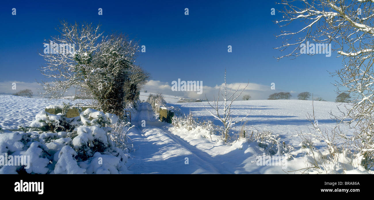 Co Donegal, Ireland; Winter Landscape Near Burt Castle Stock Photo - Alamy