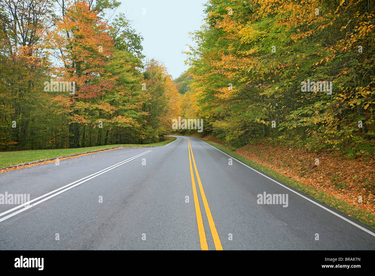 blacktop paved highway with fall colors around in the Smoky Mountains ...