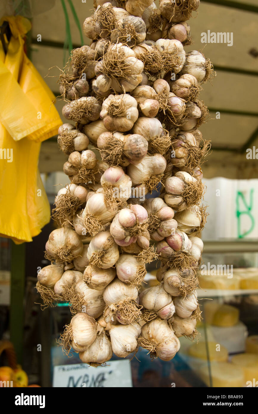 Split bulb hi-res stock photography and images - Alamy