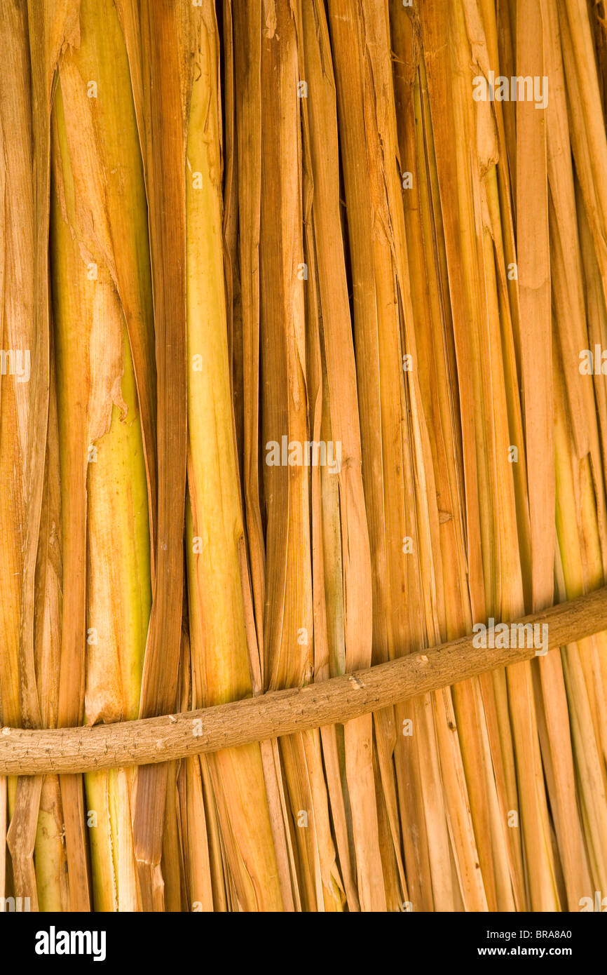 Puerto rico hut hi-res stock photography and images - Alamy