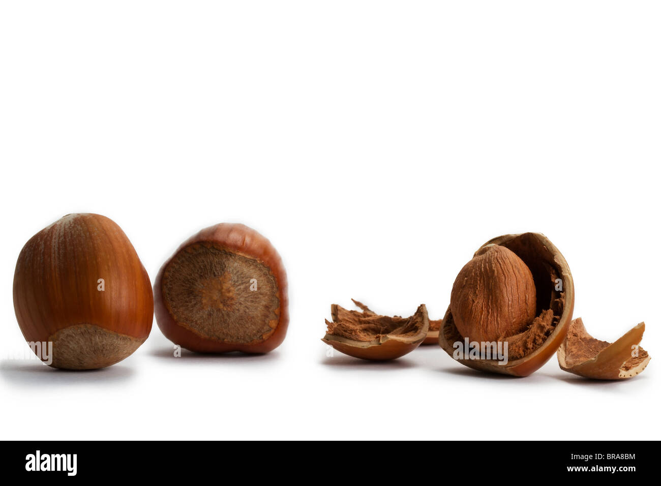 two and a cracked hazelnut on white background Stock Photo - Alamy