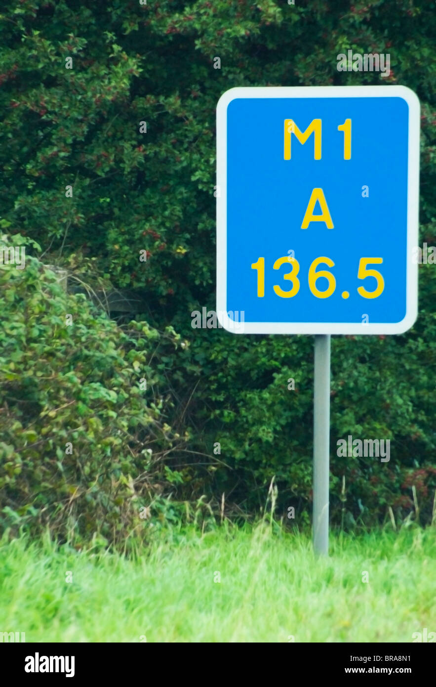 Driver Location Marker Stock Photo - Alamy