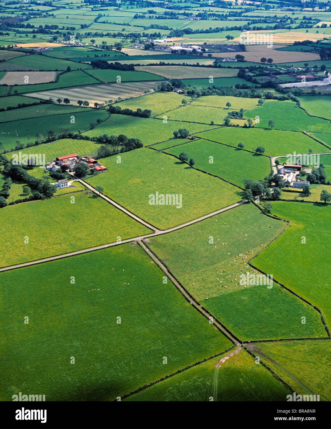 Co Fermanagh, Ireland; Aerial View Of Fields Stock Photo - Alamy