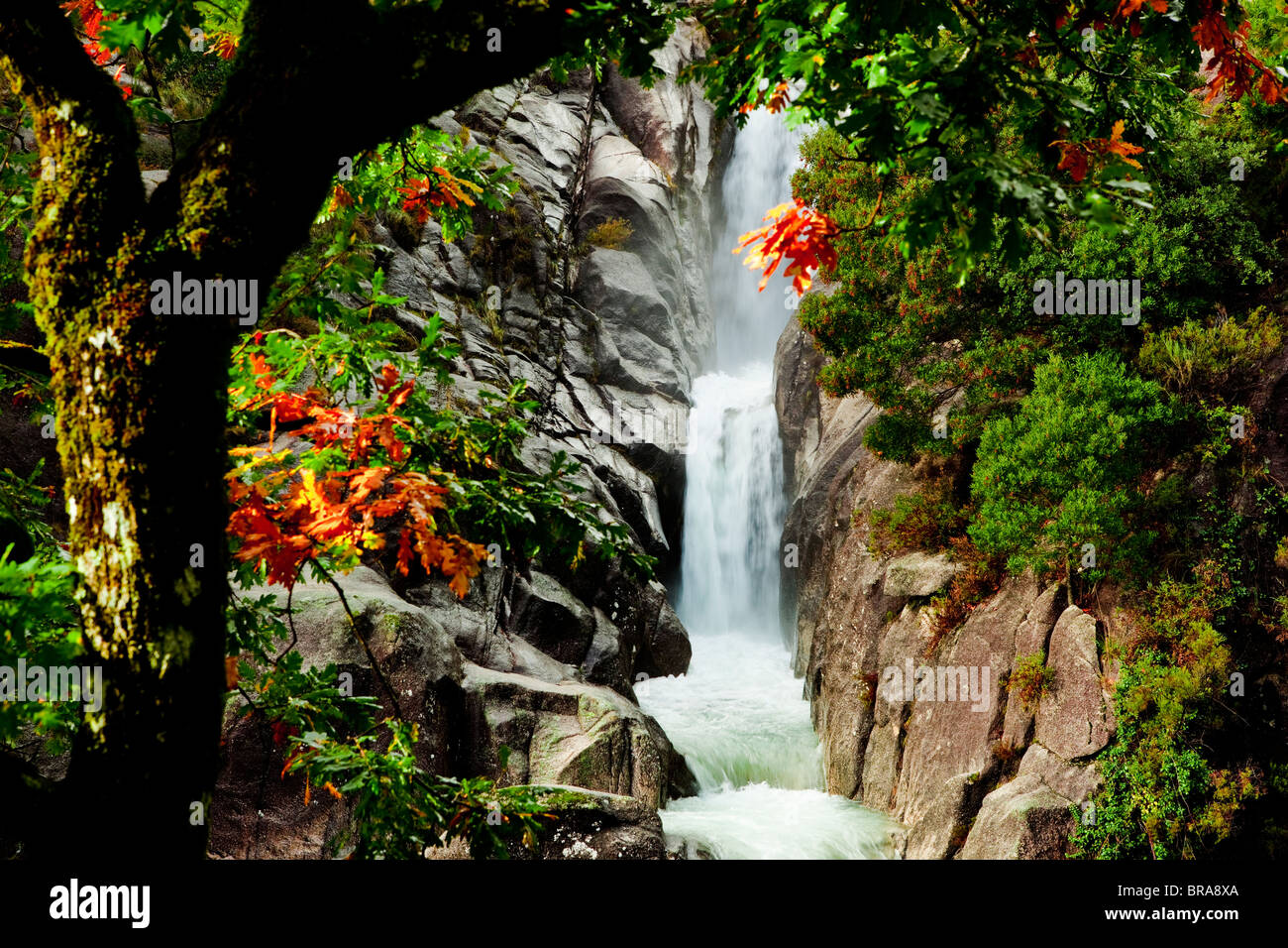Beautiful waterfall of fresh and pure water Stock Photo - Alamy