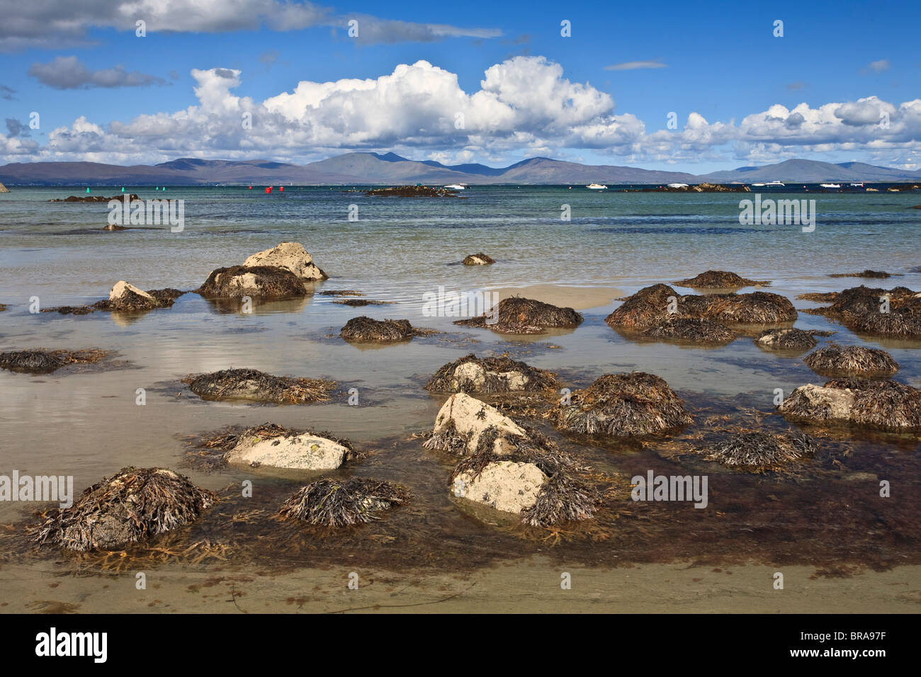 Clew bay hi-res stock photography and images - Alamy