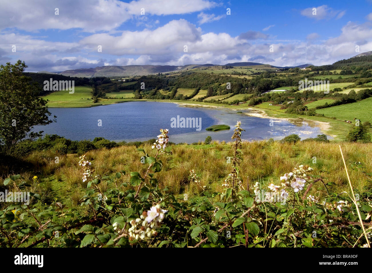 Colgagh lough hi-res stock photography and images - Alamy