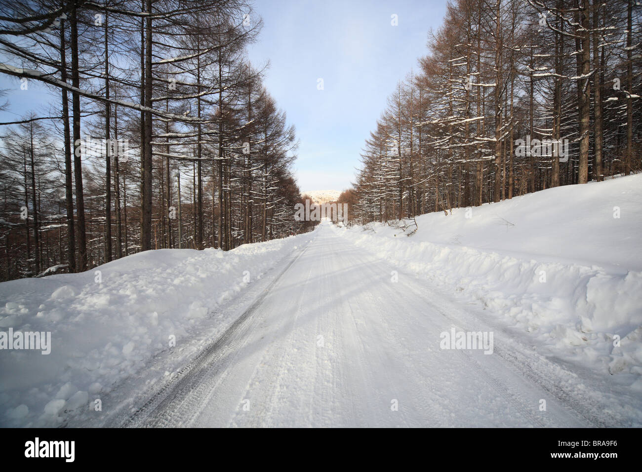A seasonal road in winter that is lined with snow covered trees in ...