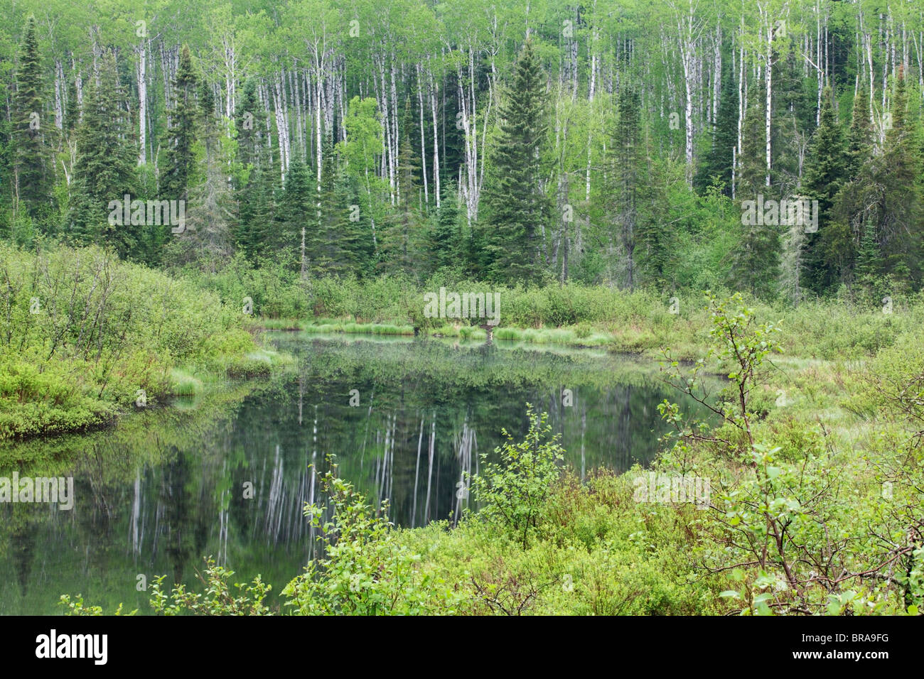 Bay area waterways hi-res stock photography and images - Alamy