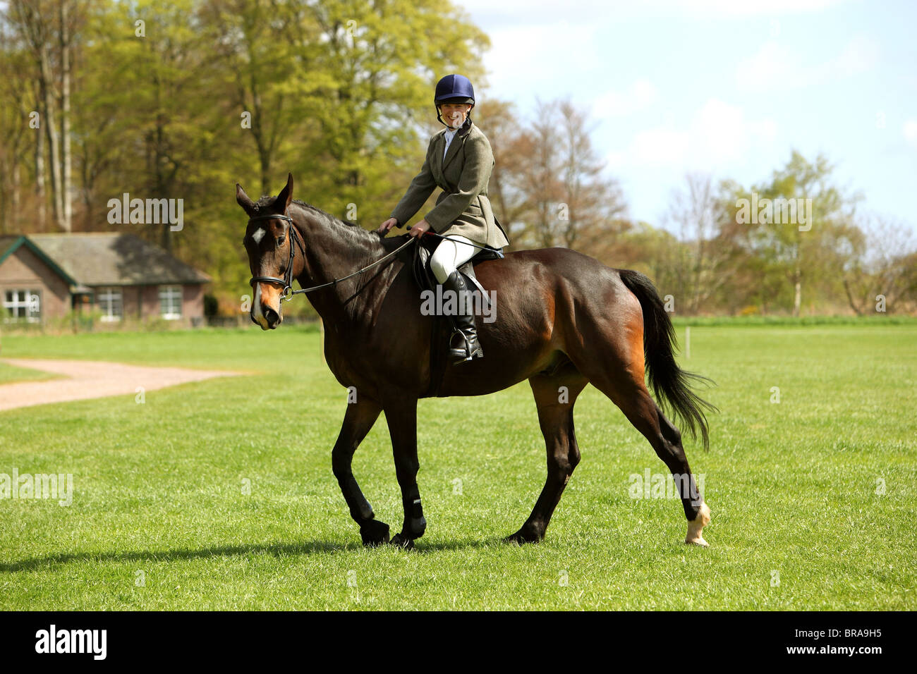 Horse hoof anatomy hi-res stock photography and images - Alamy