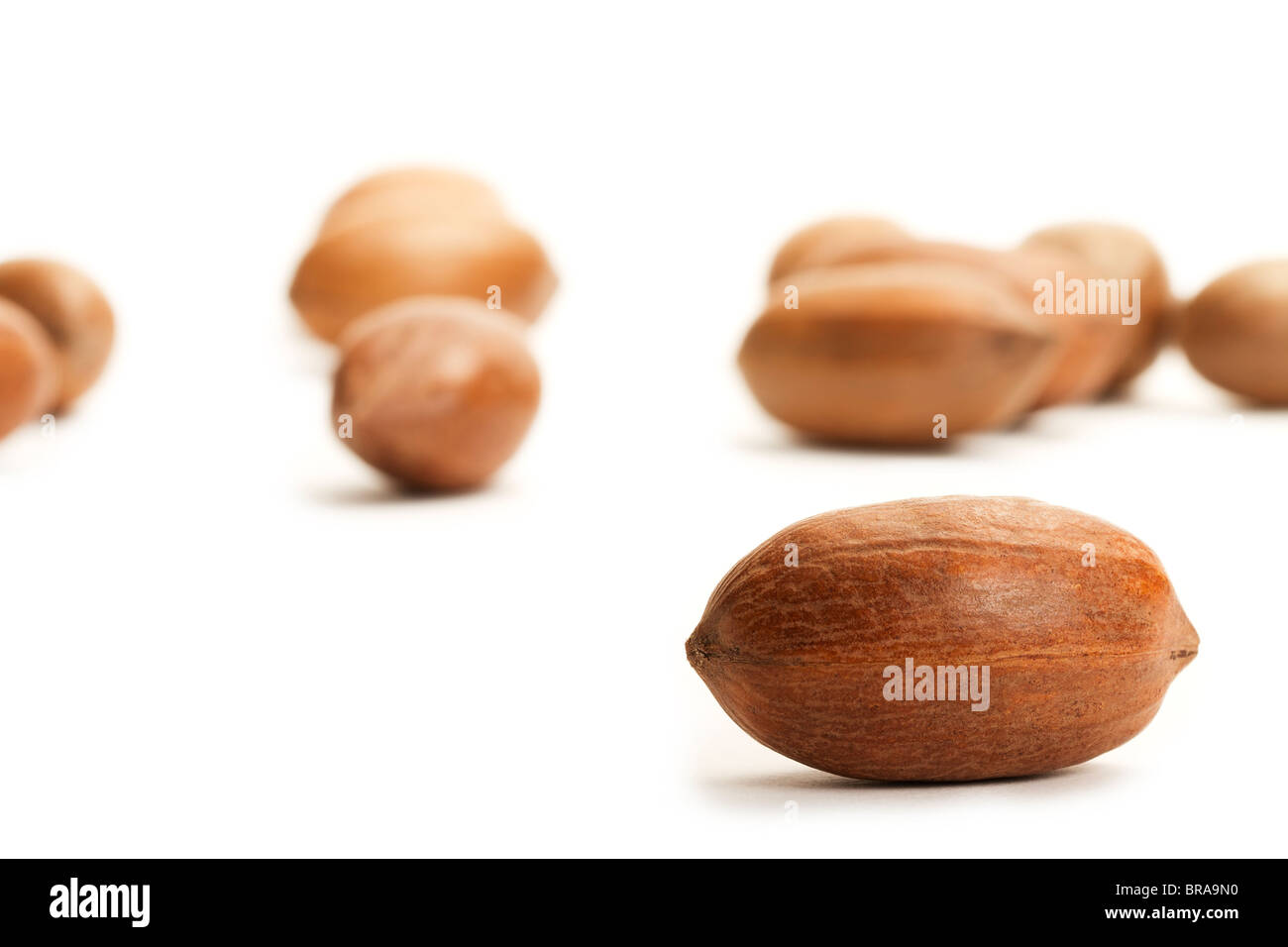 one pecan in front of others on white background Stock Photo - Alamy