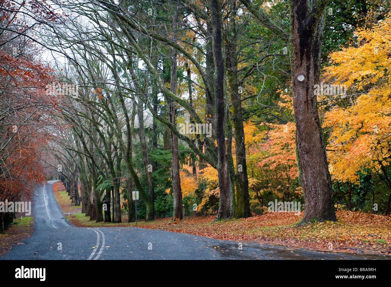 Mount wilson hi-res stock photography and images - Alamy