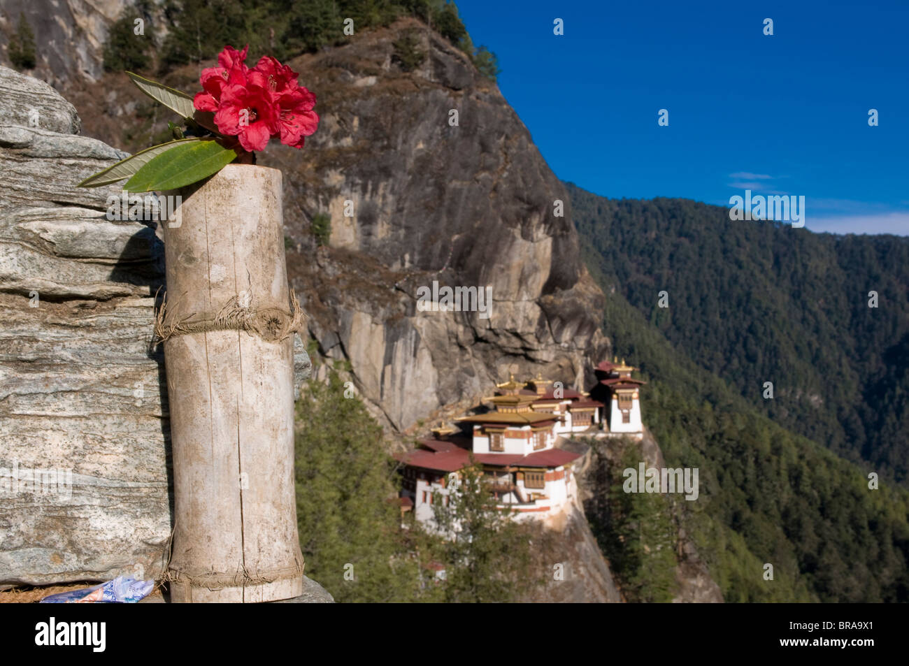 The famous Taktshang Goempa (Tiger's Nest Monastery), Bhutan, Asia ...