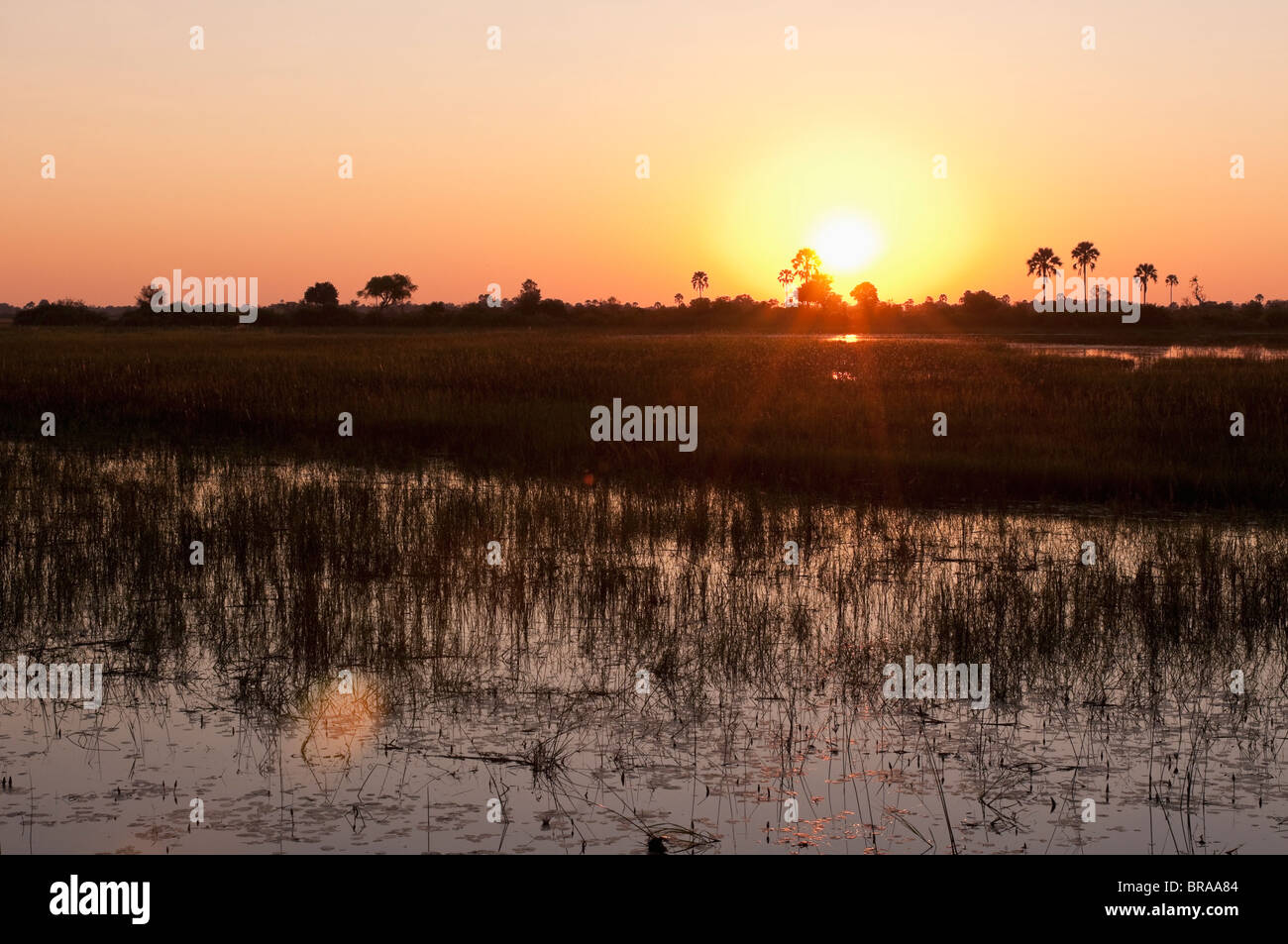 Botswana scenery hi-res stock photography and images - Alamy